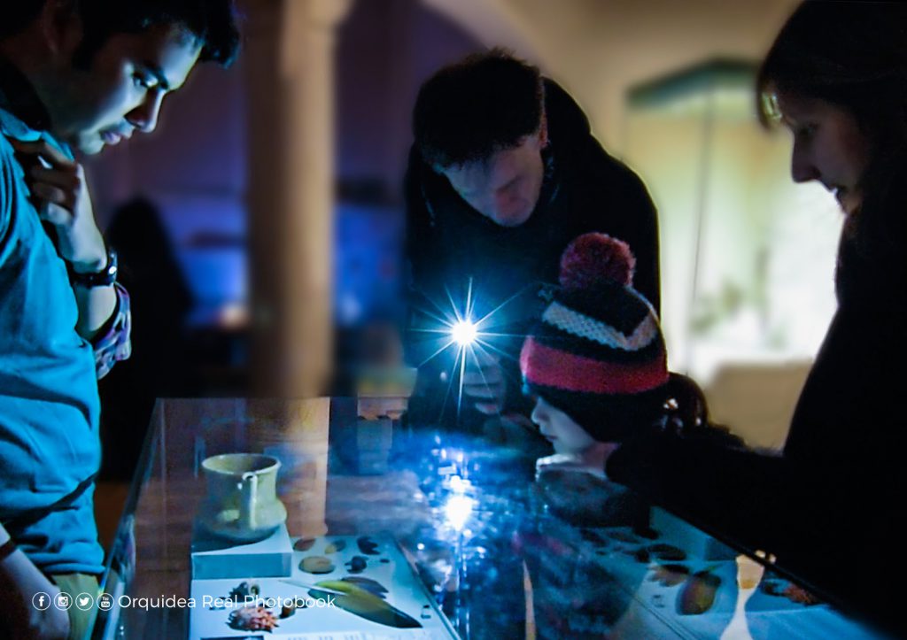 Twilight At the Museums - Cambridge Colleges