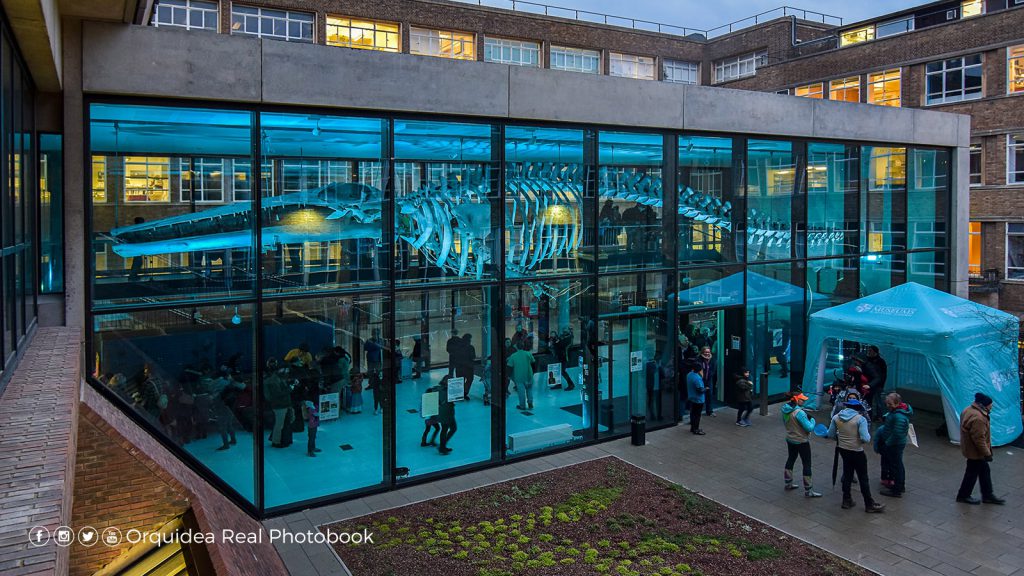 Twilight At the Museums - Cambridge Colleges